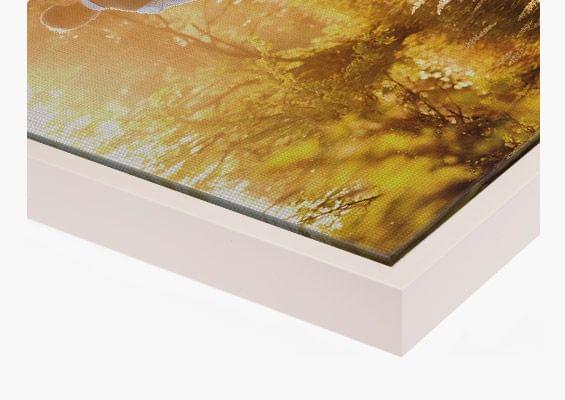 Your Photo on Canvas in PREMIUM Quality | picanova.co.uk